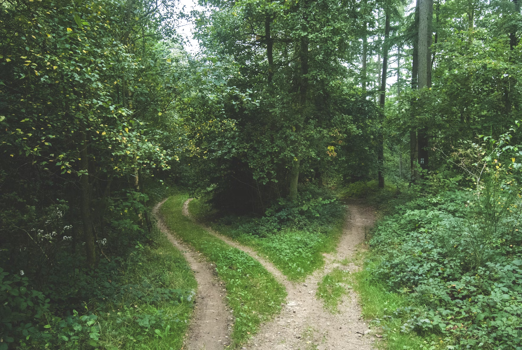 The Perilous Path Ahead: Navigating the Risks of 5G and Beyond